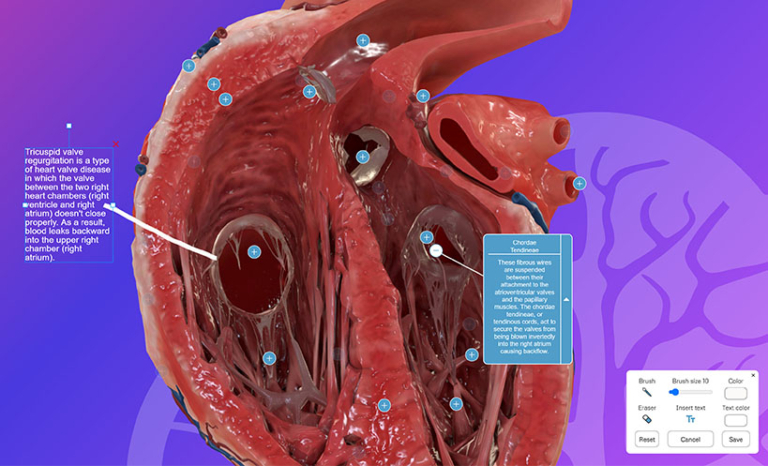 Gallery of 3D Web / WebGL applications made with Verge3D — Soft8Soft